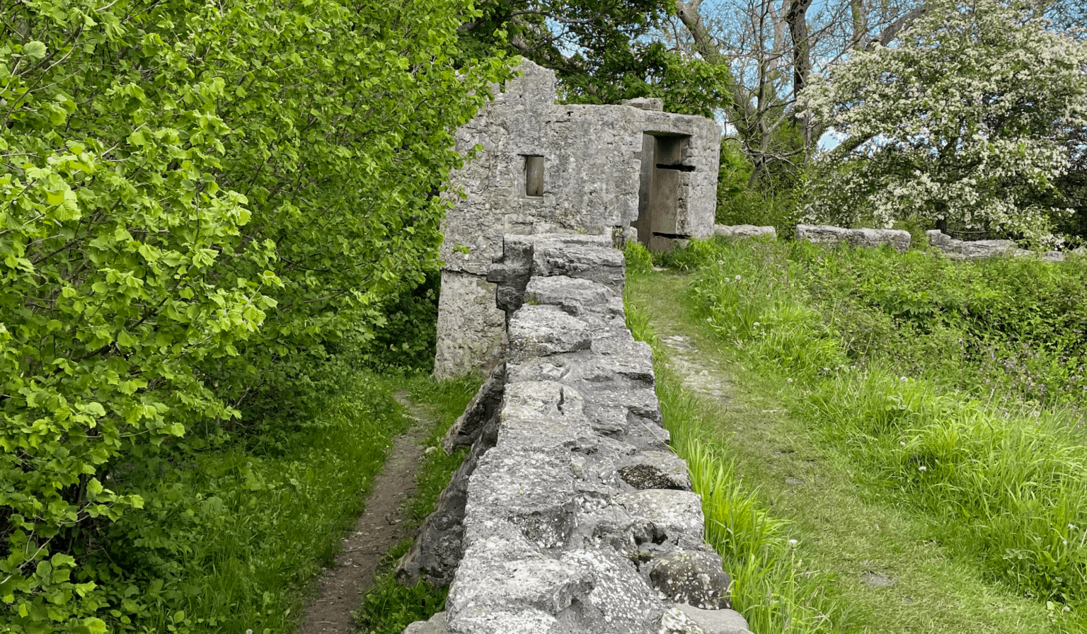 Aberlleiniog Castle: Anglesey's Hidden Norman Fortress - Discover North ...