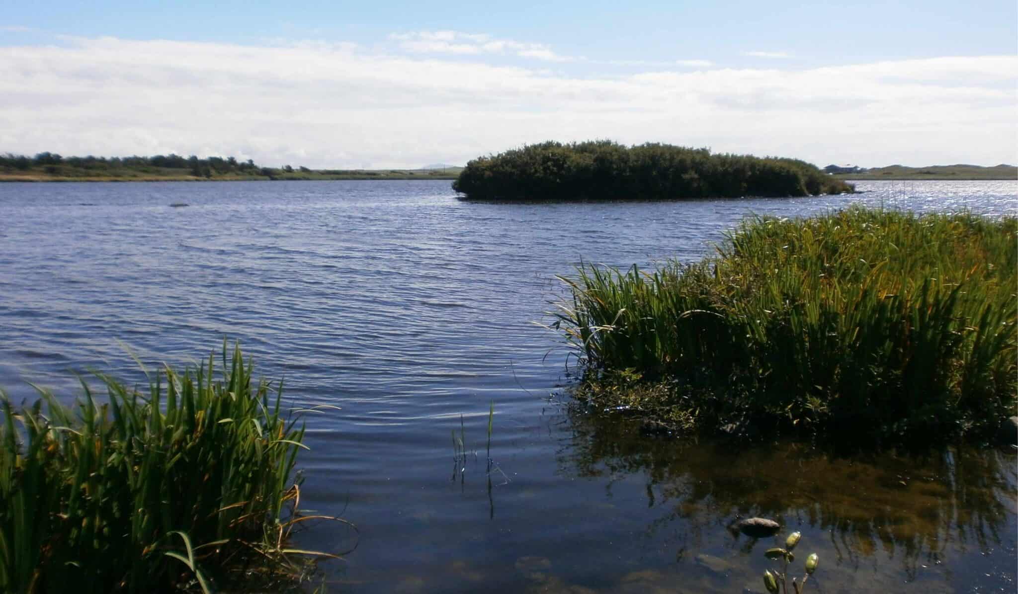 Llyn Maelog: A Wildlife and Outdoor Activities Hotspot - Discover North ...